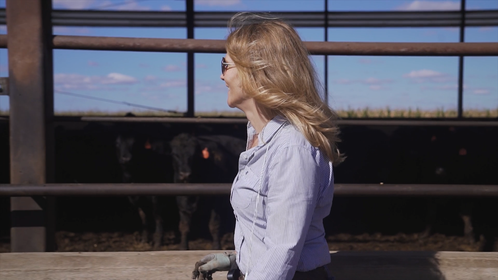 Minnesota Beef Council